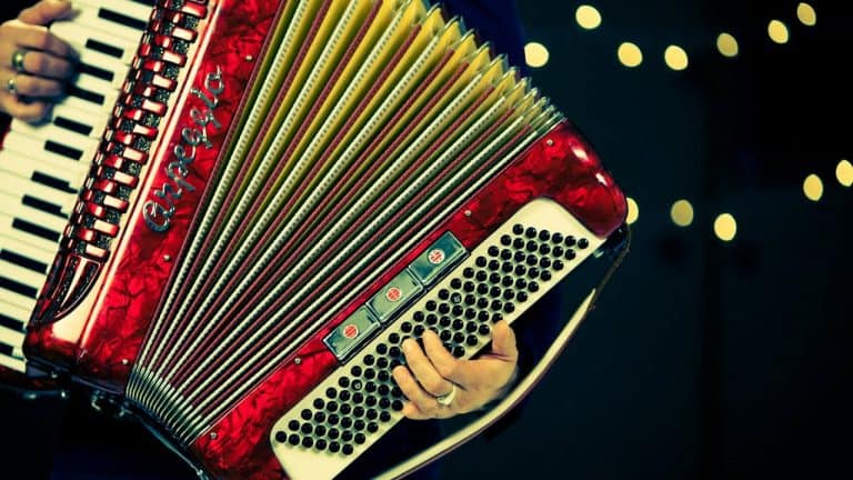 Beginner Accordion: Top 5 Accordions For Beginners Reviewed