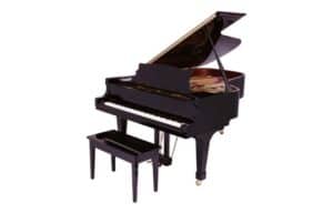 What Is The Hardest Instrument To Play: Hardest Instruments Ranked ...