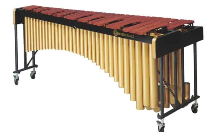 All 17 Percussion Instruments Listed (Ultimate Guide)