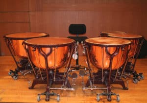 Types Of Drums: The Complete Guide For Drums